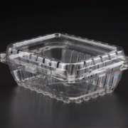 2 LB 8 Down Clamshell - Cool Pak Produce Packaging Solutions