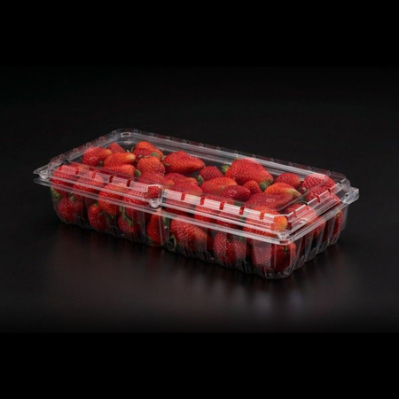 Shop Cool Pak Products - Cool Pak Produce Packaging Solutions